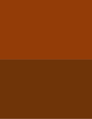 Chroma-Lite® Brown CL4509 | Color Materials