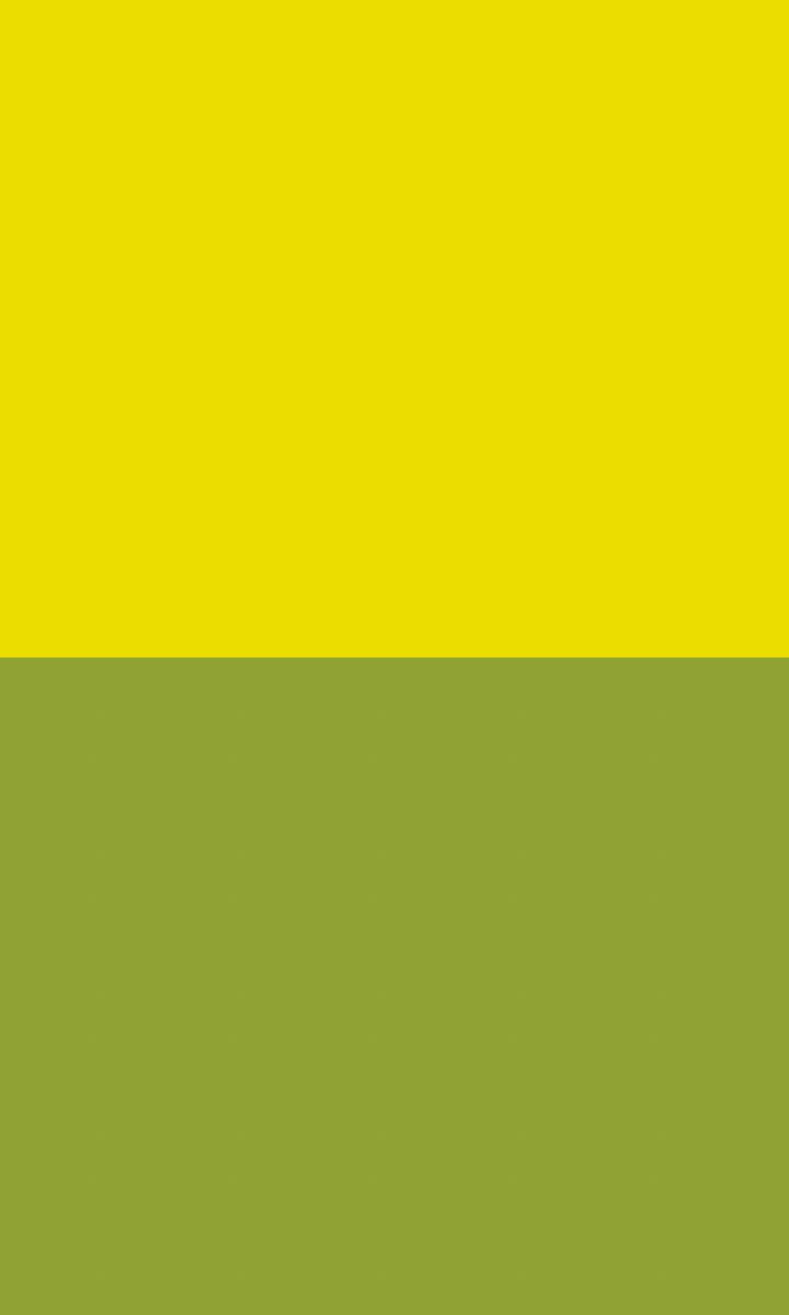 Paliotol® Yellow K 0961 | Color Materials